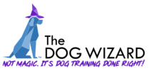 The Dog Wizard: Dog Training, Find a Dog Trainer Near You