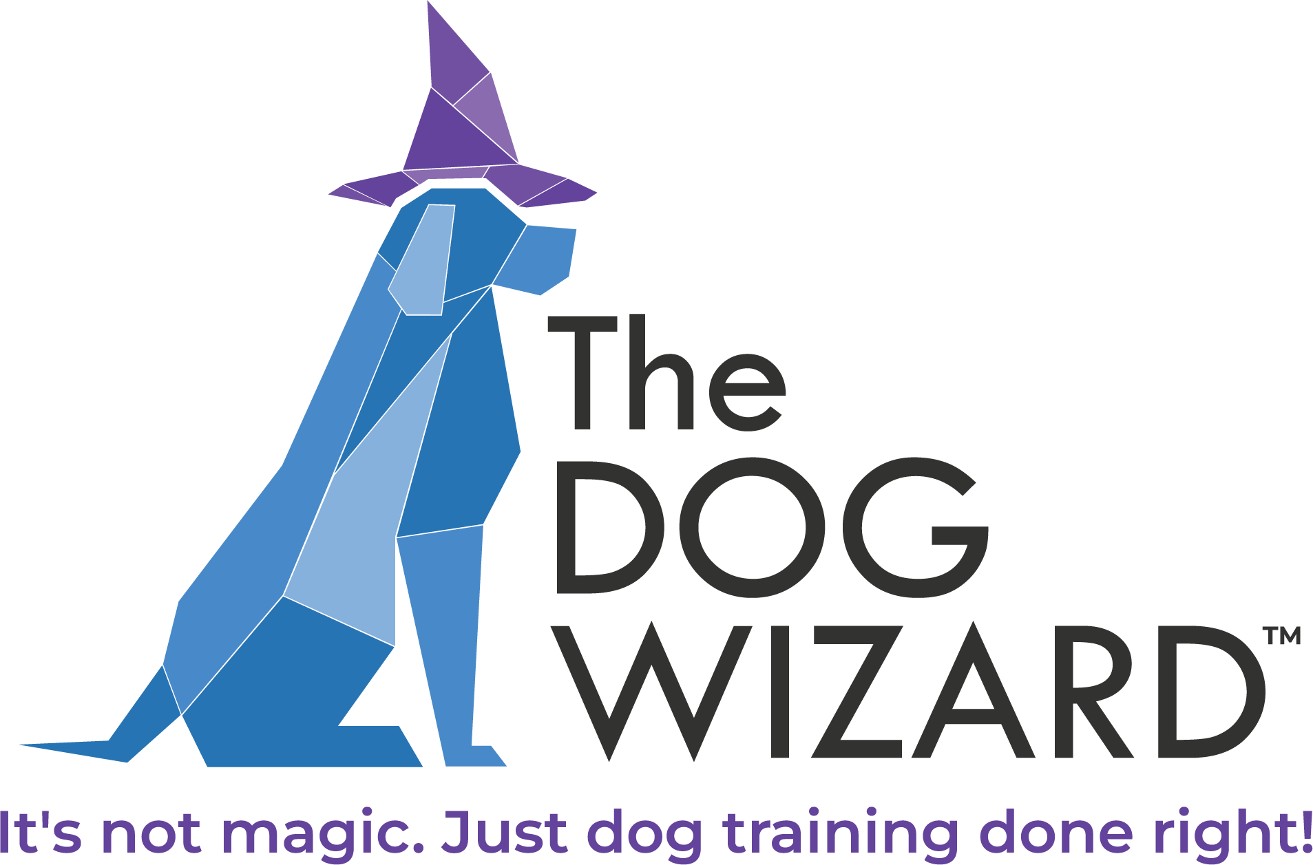 How to Become a Dog Trainer Academy | The Dog Wizard